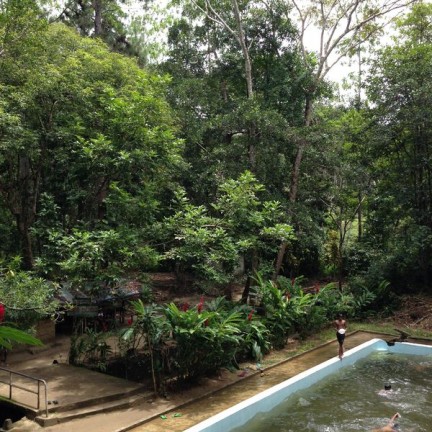 Kottawa Forest Swimming Pool - Unawatuna Beach